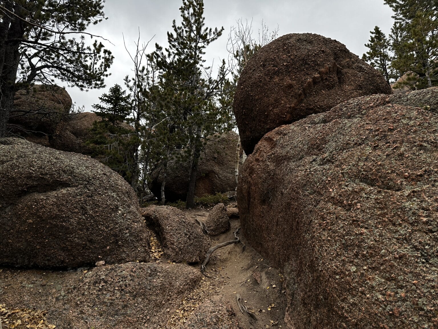 Raspberry Mountain Colorado Hike Guide - Virtual Sherpa