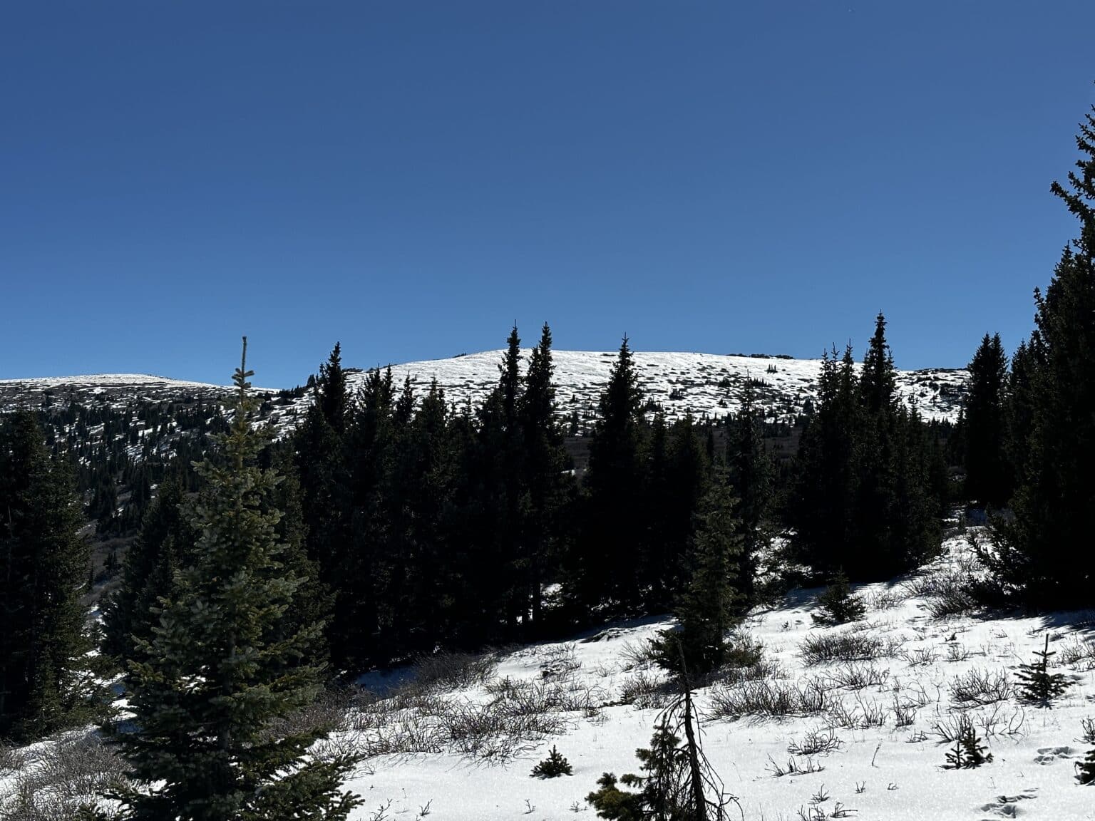 Ben Tyler Trail Colorado Hike Trail Guide - Virtual Sherpa