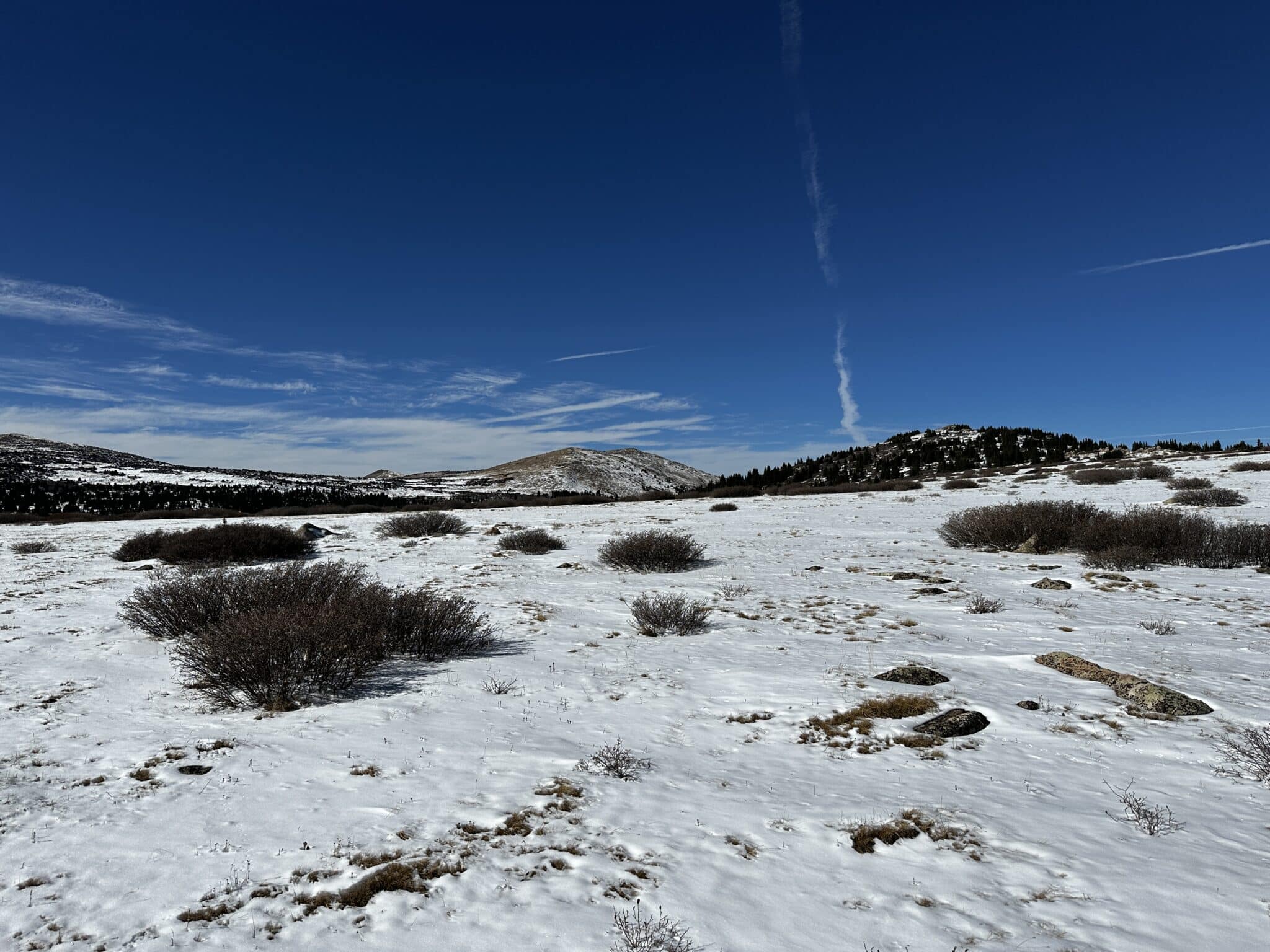 Ben Tyler Trail Colorado Hike Trail Guide - Virtual Sherpa