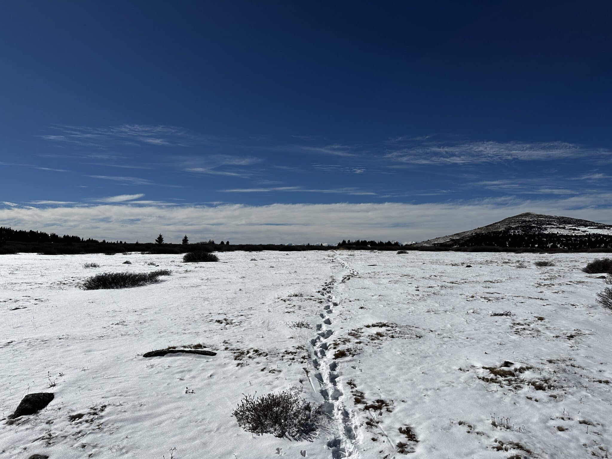 Ben Tyler Trail Colorado Hike Trail Guide - Virtual Sherpa