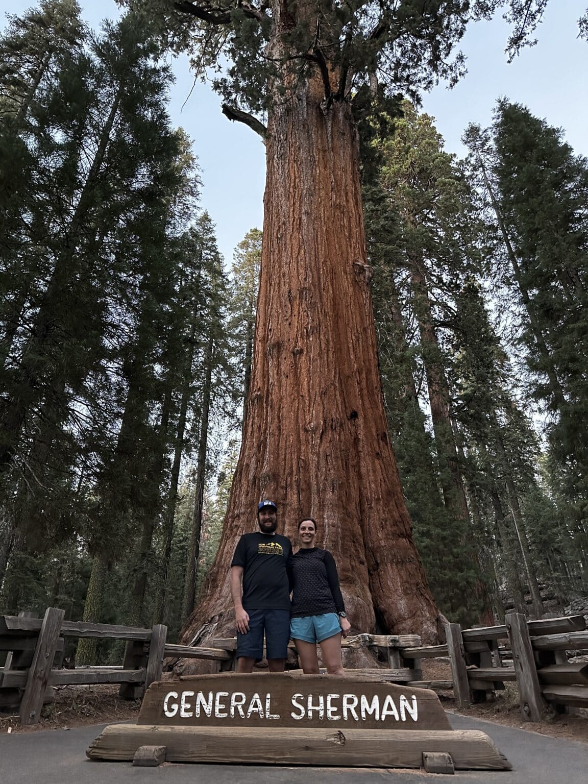 General Sherman Tree Hike Guide - Virtual Sherpa