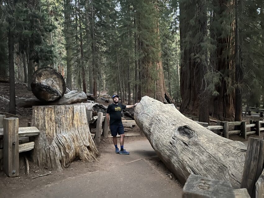 General Sherman Tree Hike Guide - Virtual Sherpa