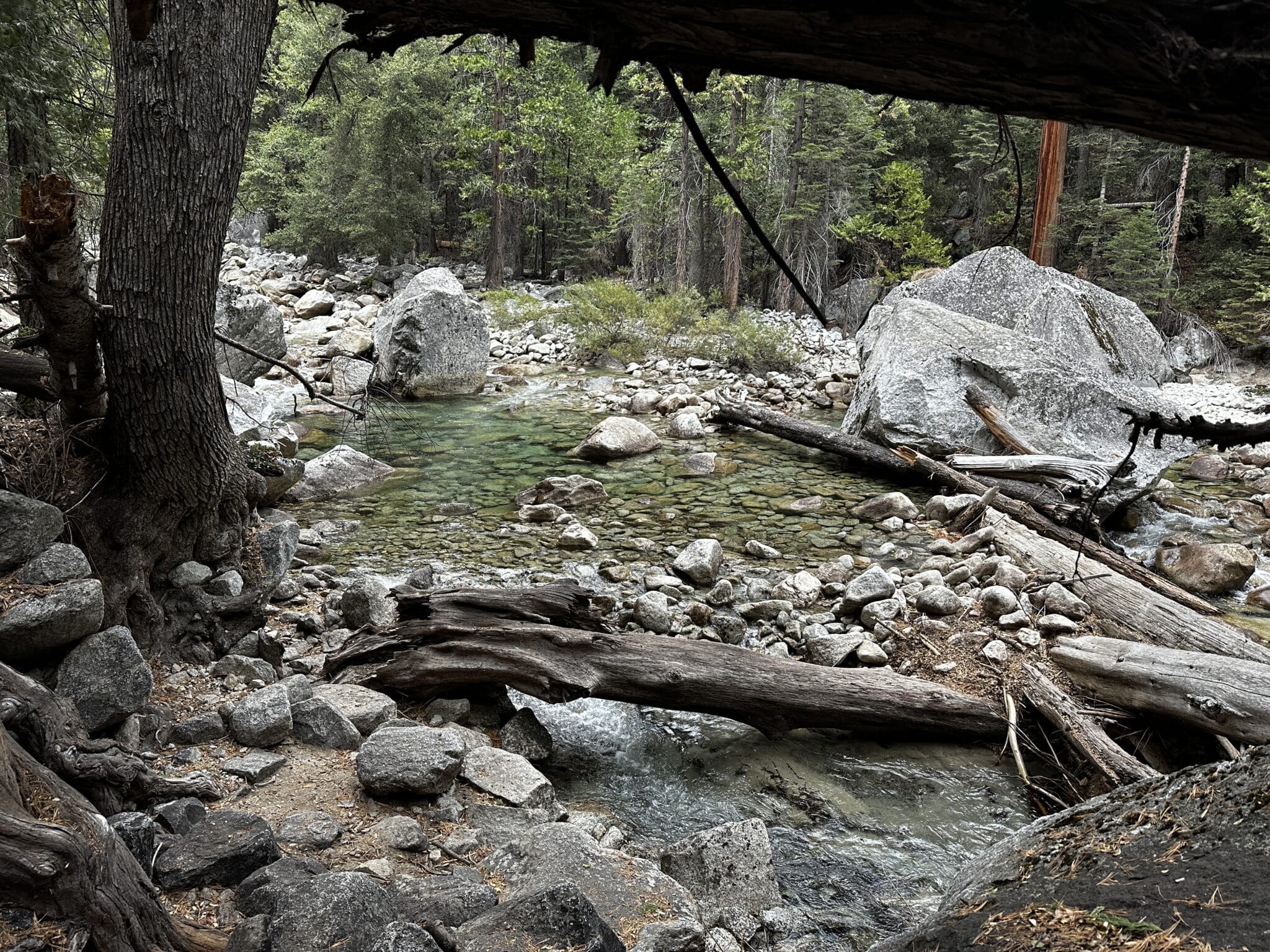 Mist Falls Kings Canyon Hike Guide - Virtual Sherpa