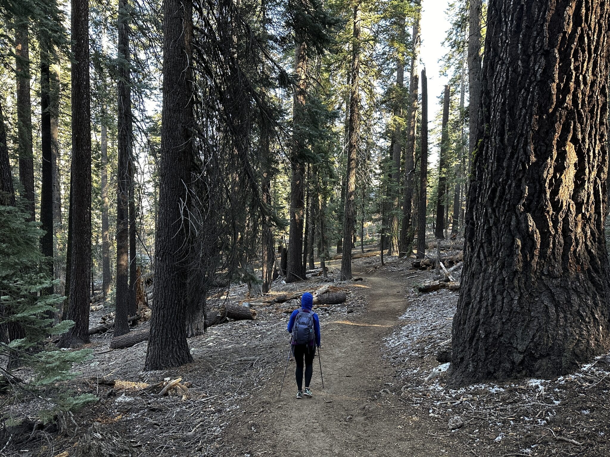 Four Mile Trail Yosemite Hike Guide - Virtual Sherpa
