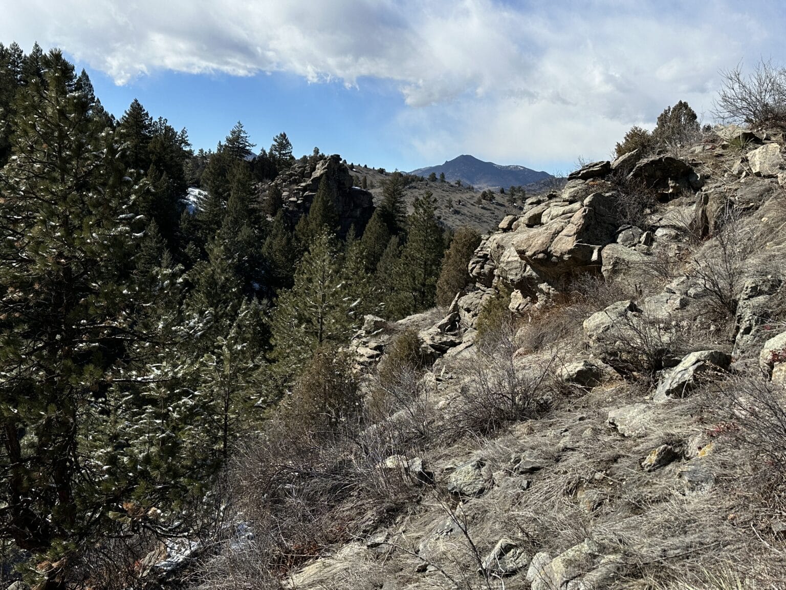 Beaver Brook Trail Colorado Hike Guide - Virtual Sherpa