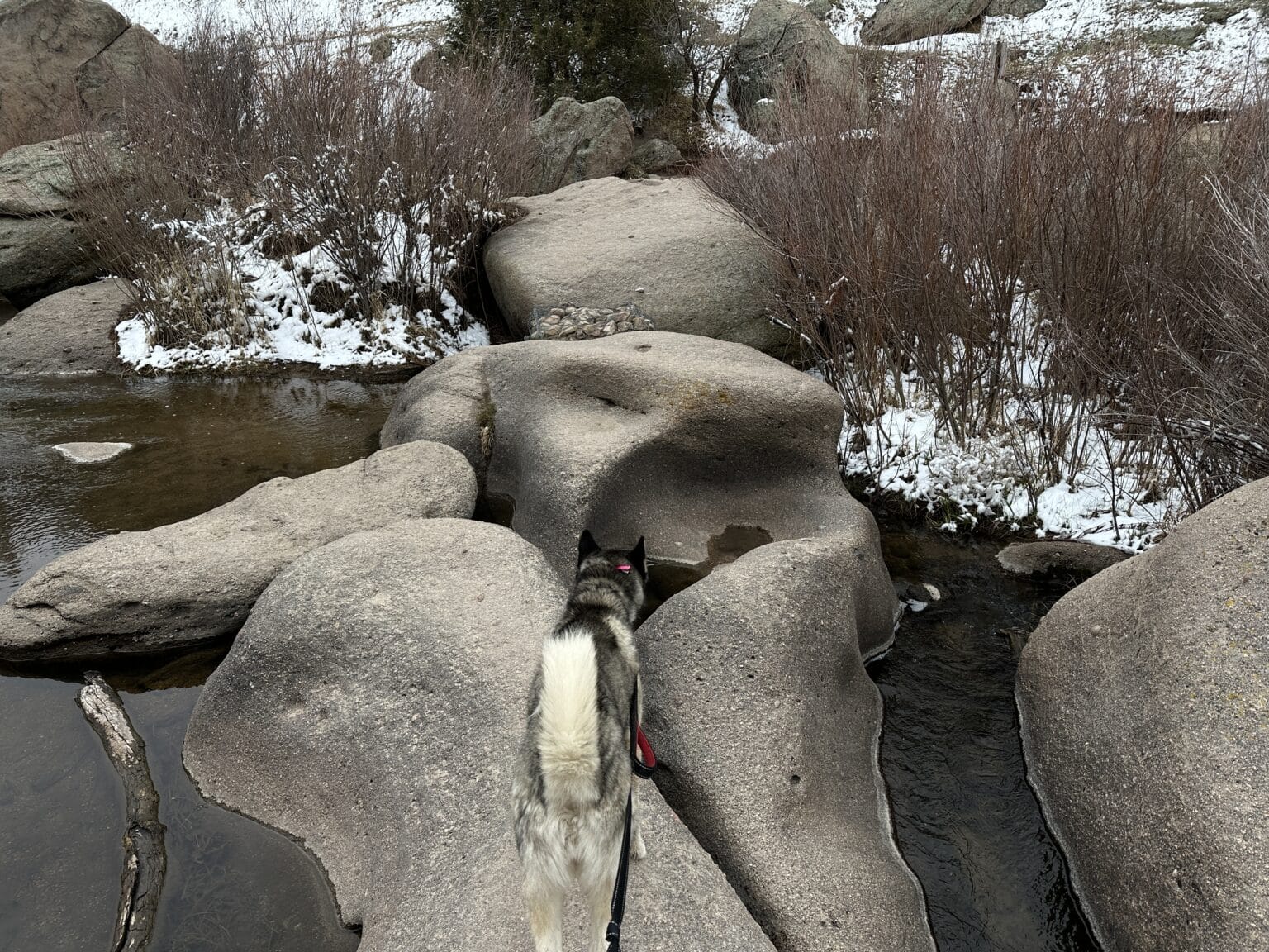 Castlewood Canyon State Park Hike Guide - Virtual Sherpa