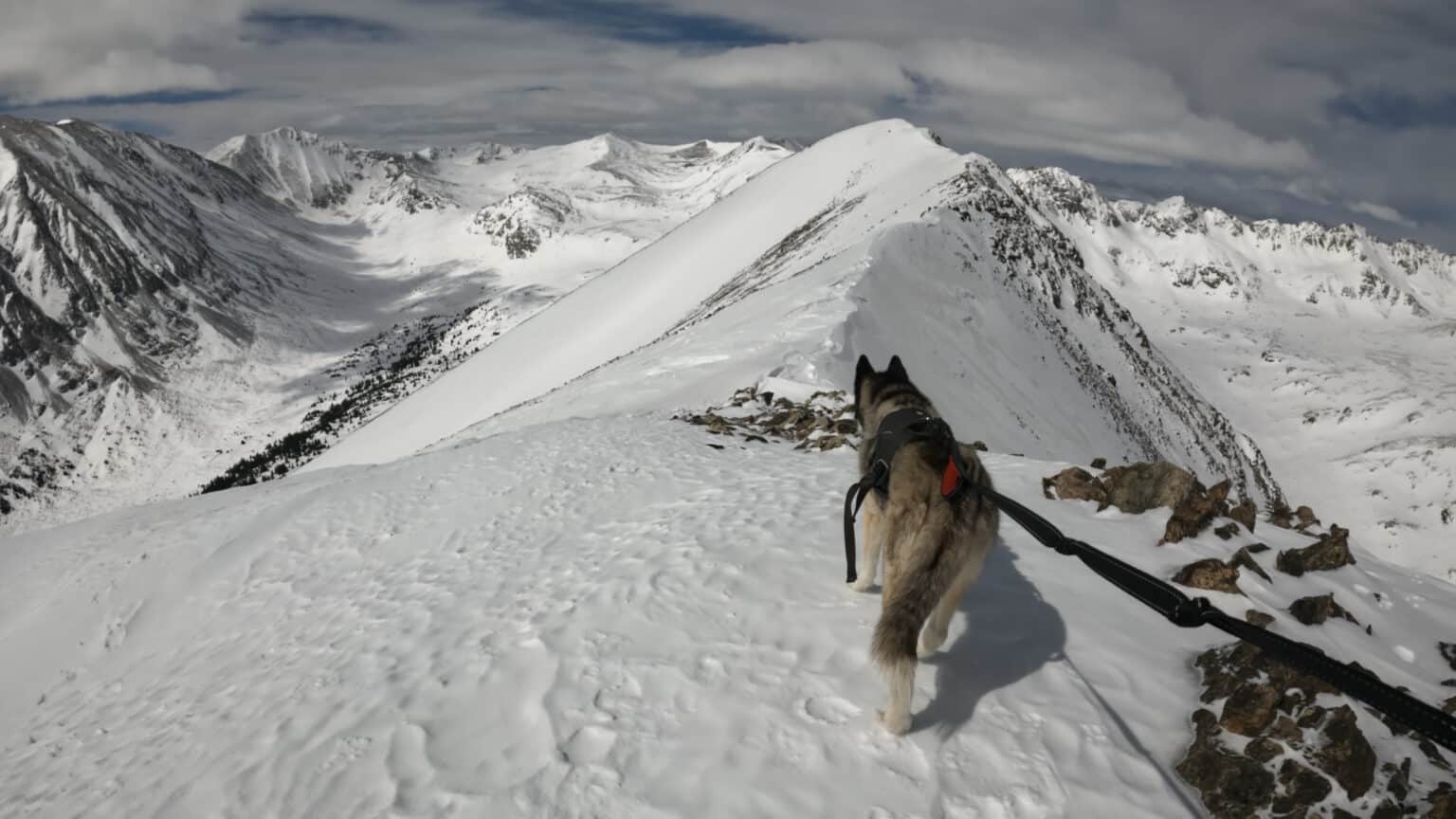 North Star Mountain Colorado Hike Guide - Virtual Sherpa