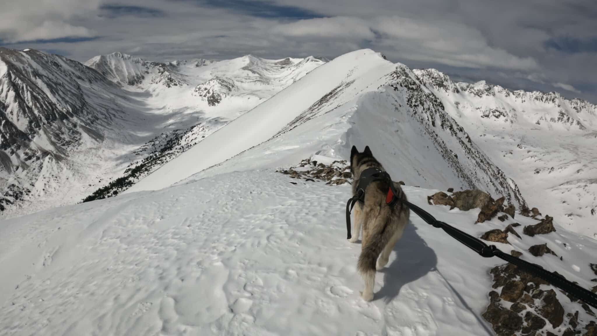 North Star Mountain Colorado Hike Guide - Virtual Sherpa
