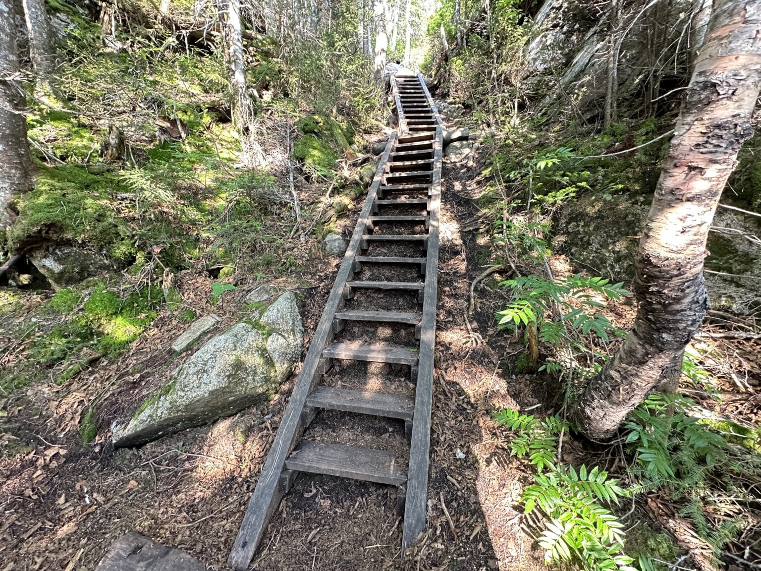 Pemigewasset Loop Hike Guide - Virtual Sherpa