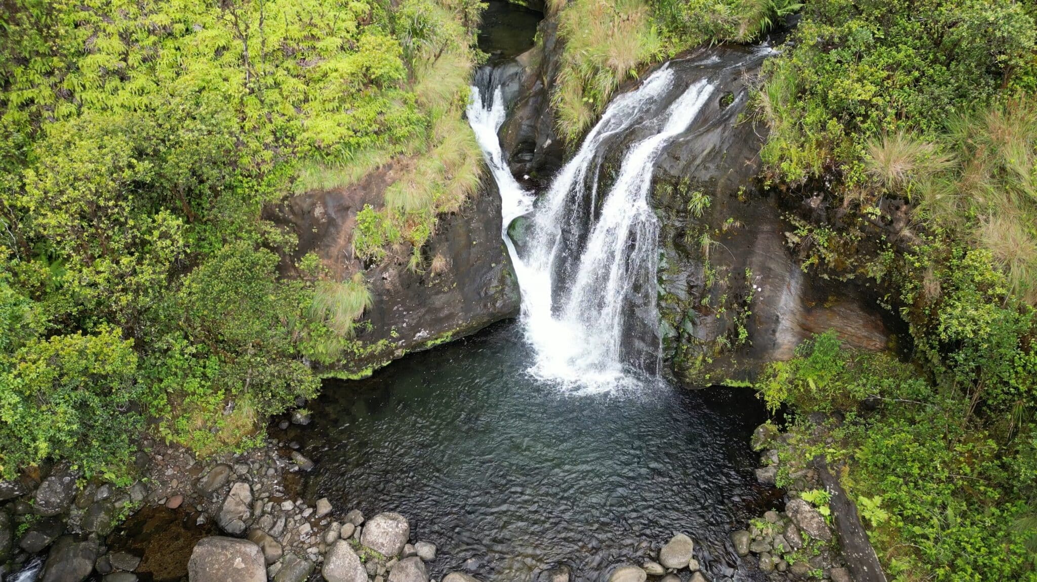 Weeping Wall & Blue Hole Kauai Hike Guide - Virtual Sherpa