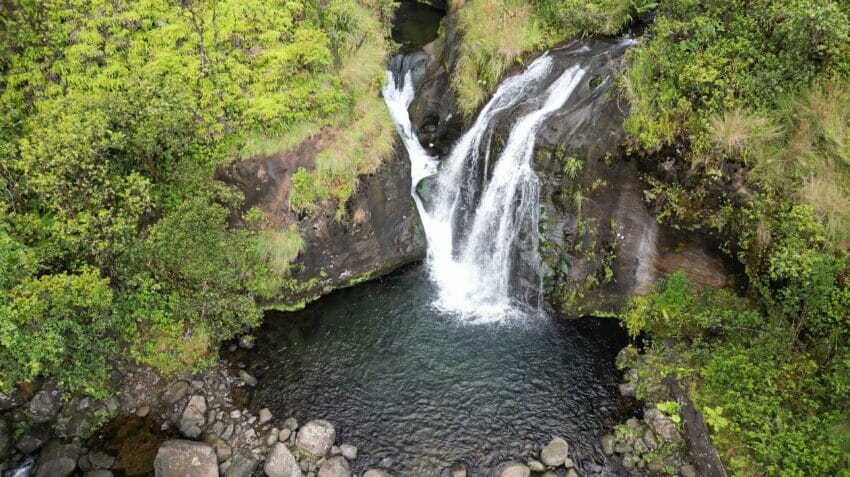 Weeping Wall & Blue Hole Kauai Hike Guide - Virtual Sherpa