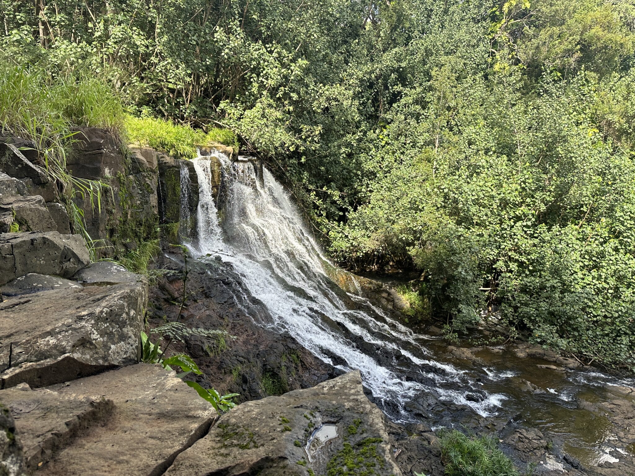Ho'opi'i Falls Hike Guide - Virtual Sherpa