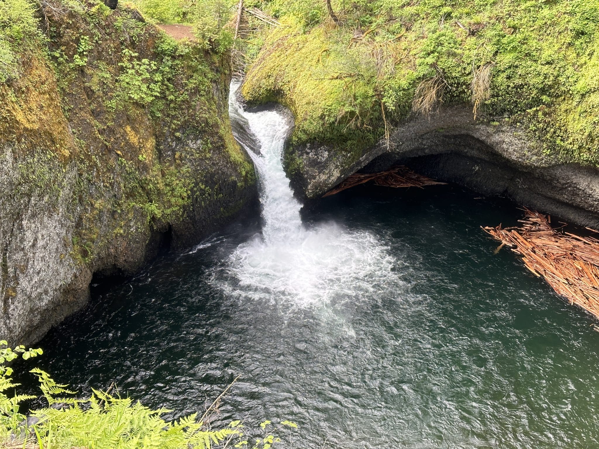 Tunnel Falls Oregon Hike Guide - Virtual Sherpa