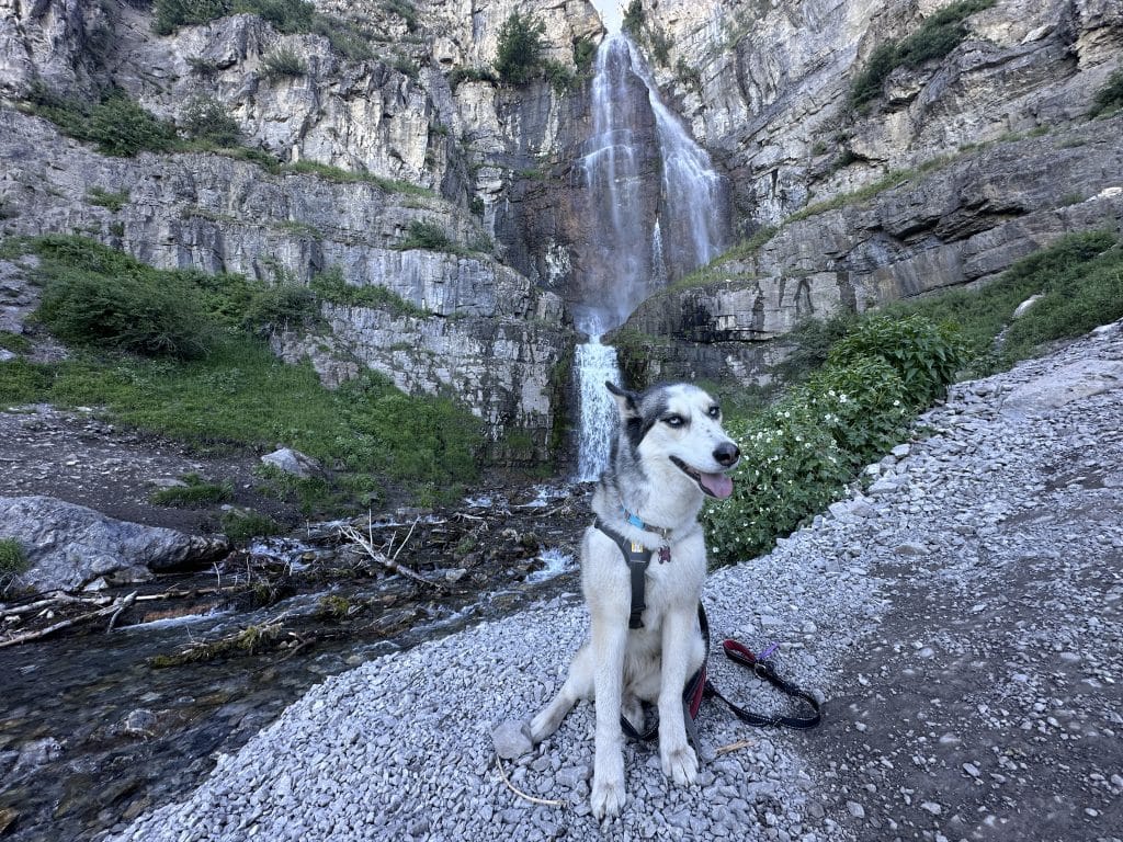 Stewart Falls Utah Hike Guide - Virtual Sherpa