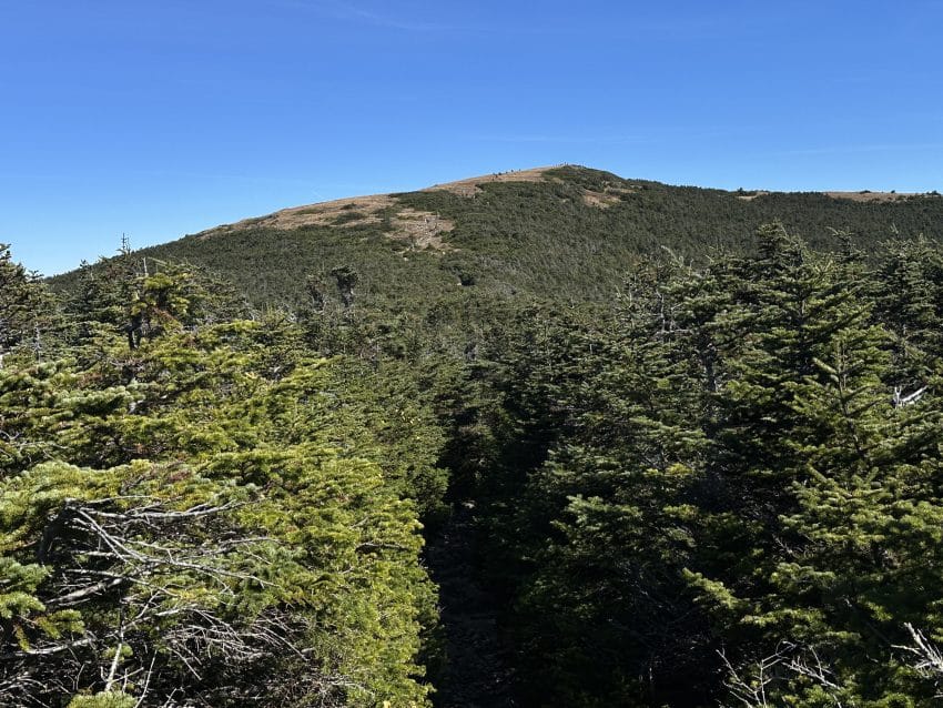 Mt Moosilauke Hike Guide - Virtual Sherpa