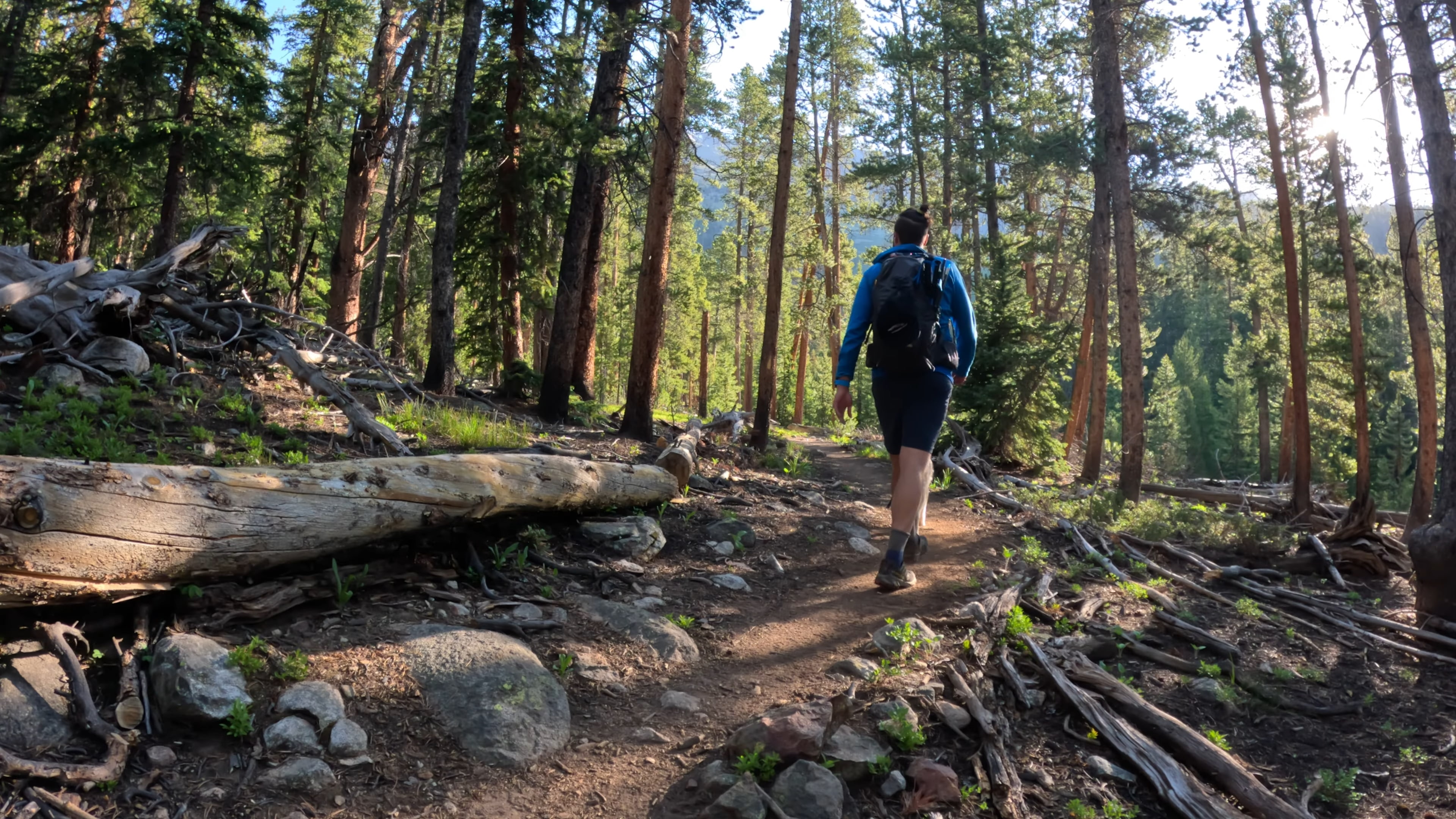 Mt Elbert Black Cloud Trail - Virtual Sherpa